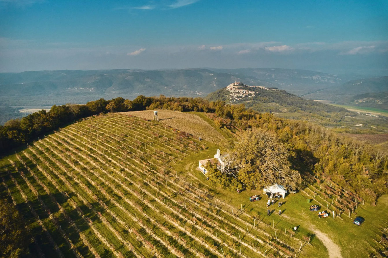 Istria Wine and Walk | Useful info ECOXPERIENCE -official portal